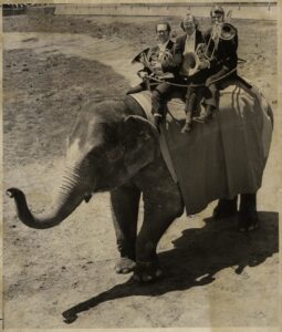 About FAQs Parking and Direction Jobs